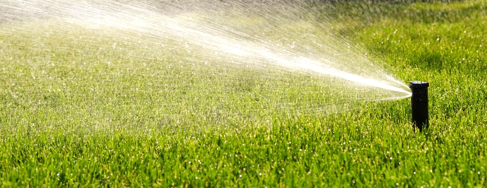 Alles wat je moet weten over een beregeningspomp voor je tuin ...